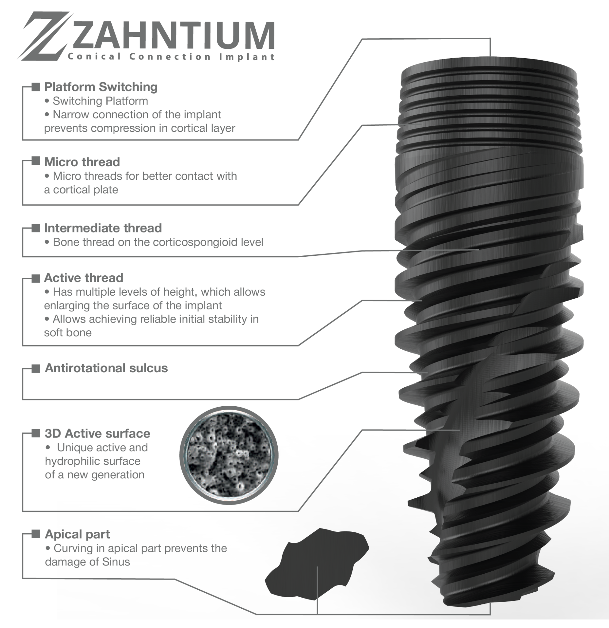 Implant - Zahntium